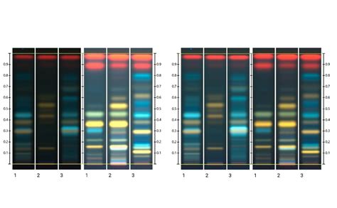 Visualizer Lambda Scientific