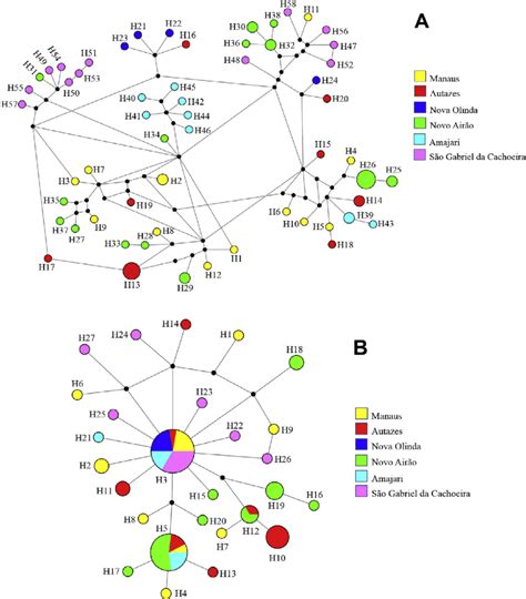 Minimum Haplotype Network Based On The Coi A And Cytb B Loci For Download Scientific