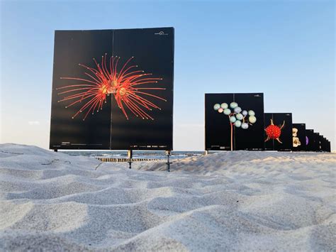 Simon Puschmann Posted On Linkedin