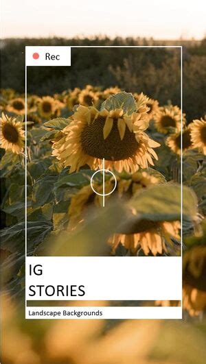 Ig 스토리 풍경 배경파워 포인트 템플릿 무료 다운로드