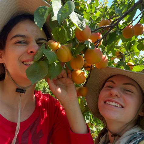 אנשי הקטיף ‎אנשי הקטיף‎ Added A New Photo