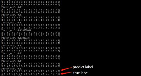 Python Mobilenet Always Predict Same Label Stack Overflow