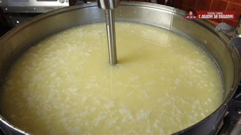 Рецепт итальянского сыра монтазио - пошаговый рецепт с фото (6331 просмотр)