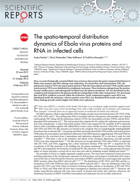 Pdf The Spatio Temporal Distribution Dynamics Of Ebola Virus Proteins And Rna In Infected Cells