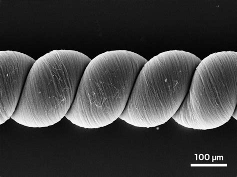 Nylon Fiber Under Microscope