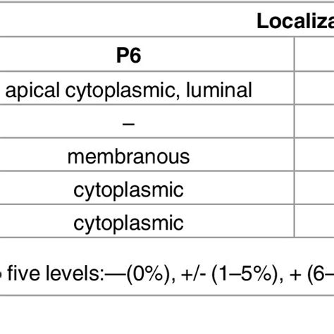 Ihc Analysis Of Csc Marker Expression In Pdac Tumor Samples Download