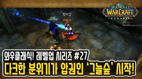 다크한 분위기 그늘숲 시작 와우 클래식 노움도적 레벨업 시리즈27 월드오브워크래프트 Wow Youtube