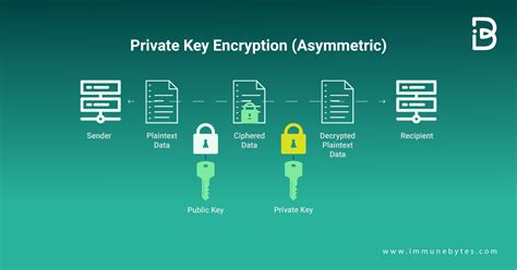public and private keys a must know in cryptography immunebytes