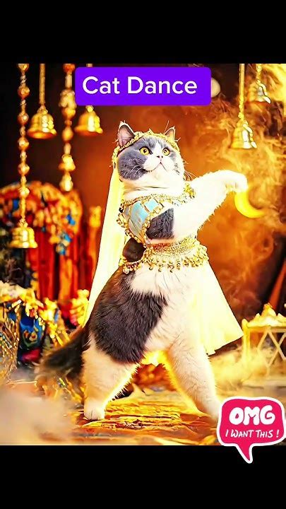 Cute Dancing Cat Animation 😺 Fun And Adorable Cartoon Cat Dance Youtube