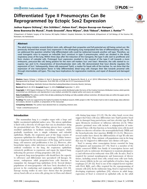 Pdf Differentiated Type Ii Pneumocytes Can Be Reprogrammed By Ectopic Sox2 Expression