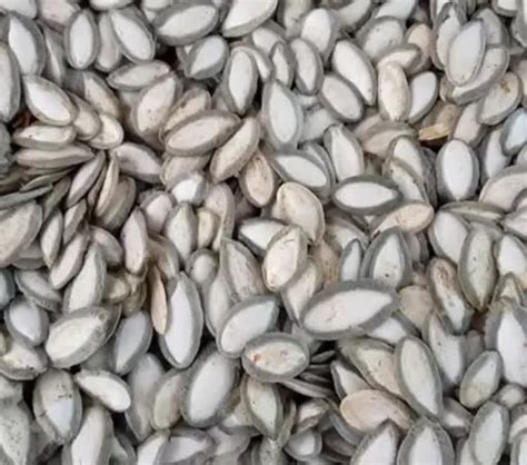 Semilla De Calabaza Pipian Con Cáscara 1kg Mercadolibre