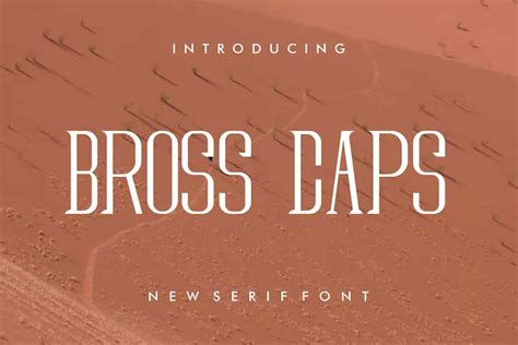Bross Caps Font Dfonts