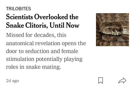 So What S The Alternative Looking Right At It R BrandNewSentence