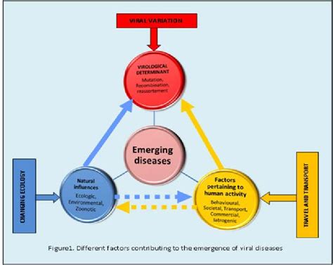 Difference Map Algorithm Semantic Scholar Difference Map Algorithm Semantic Scholar