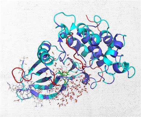 Schrödinger デジタル創薬セミナー Free Energy Calculations Beyond Small Molecule Binding Predicting