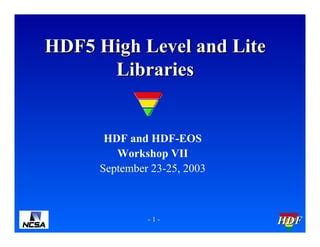 HDF High Level And Lite Libraries PDF Technology Computing