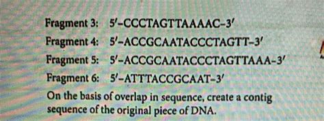 Solved 28 A Linear Piece Of Dna Was Broken Into Random