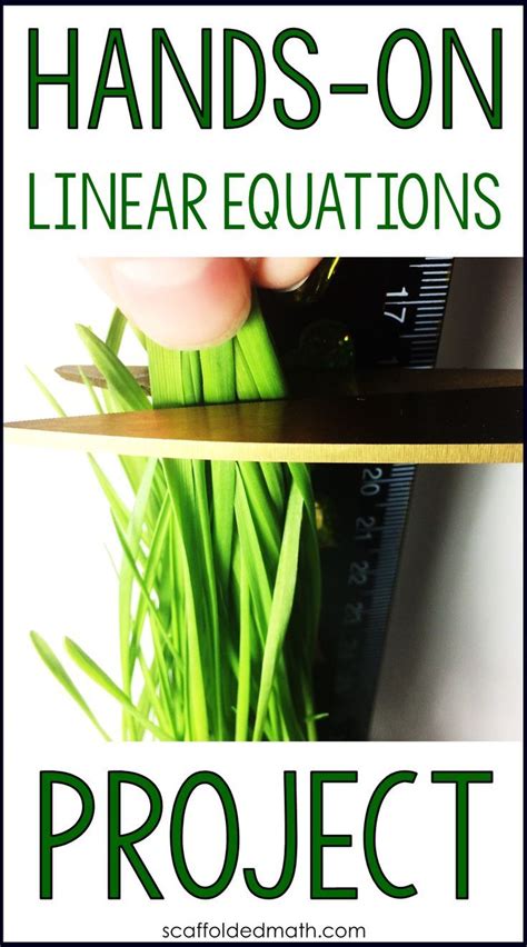 Graphing Grass Linear Equations Project Linear Equations Project