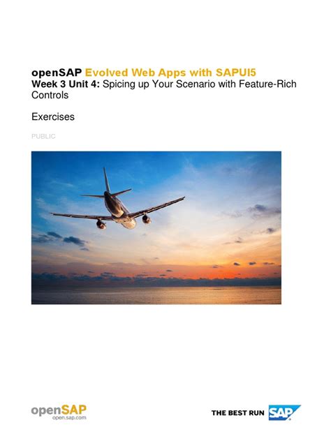 Sap Exercises Pdf Web Application Parameter Computer Programming
