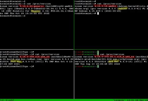 پیدا کردن اسم سیستم عامل لینوکس و نسخه کرنل یا هسته آن کالی بویز
