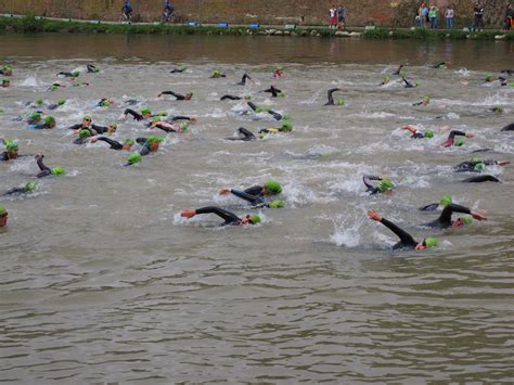 무료 이미지 바다 사람들 스포츠 인간의 헤엄 치는 사람 포복 경쟁 다뉴브 강 주유 물새 운동 선수 철인 3 종 경기 울름 뒤얽힌 육상 선수