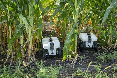 Digital Tools Can Transform Agriculture To Be More Environmentally Sustainable College Of