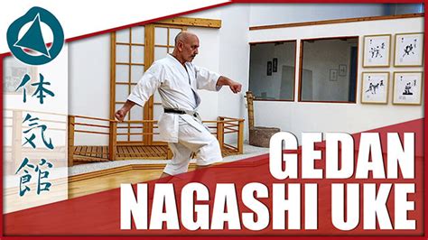 Gedan Nagashi Uke Ft Karate