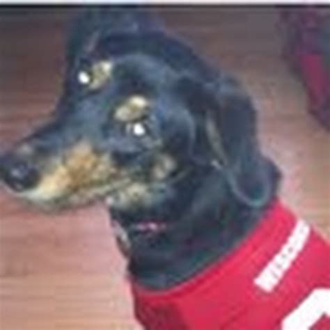 Chris Widmayer Youtube