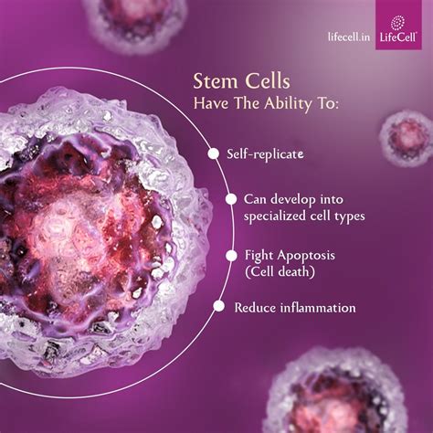 Lifecell Stemcell Stemcelltherapy Stemcelltransplant
