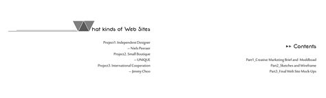 Web Design Proposal On Behance