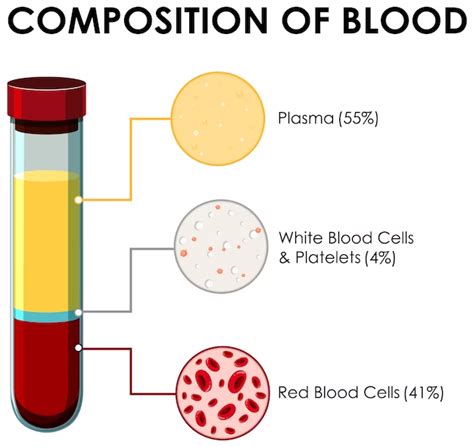 Understanding Low Platelet Count Causes And Prevention Strategies