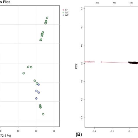 pca score plot for volatile compounds among 80 perilla accessions a
