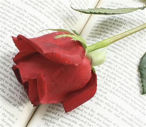 从三个维度分析 Get 和 Post 的区别 知乎 从三个维度分析 Get 和 Post 的区别 知乎