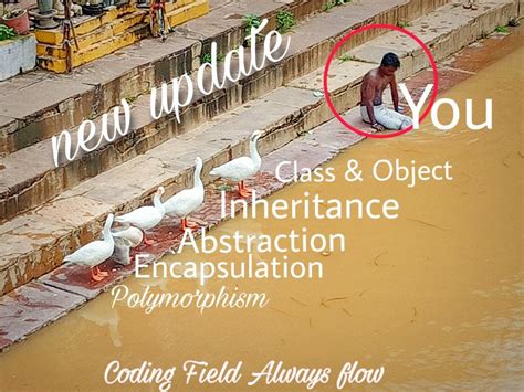 sinku singh on linkedin coding programming oopsconcepts softwaredevelopment techjourney