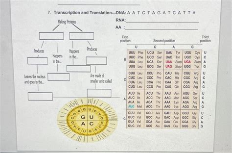 [solved] can you please fill in the blanks 7 transcription and