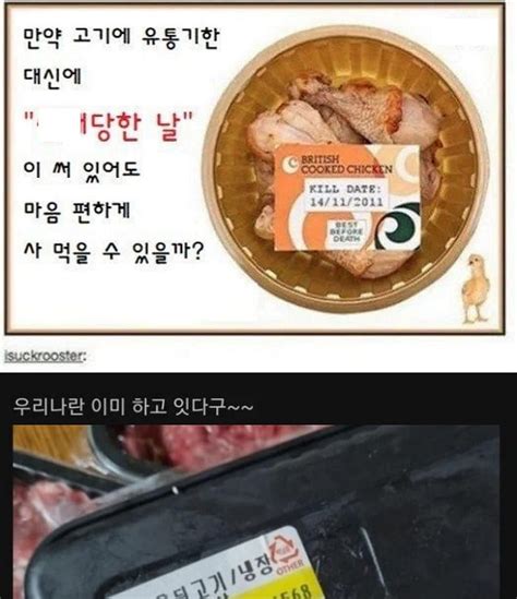 언니들의 야한수다 고기에 ‘살해당한 날 이라고 써있어도 먹을거야