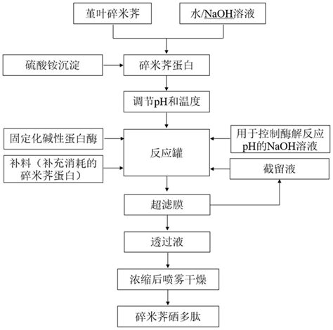 Method For Preparing Cardamine Selenium Polypeptide Through Continuous Enzymolysis And Cardamine