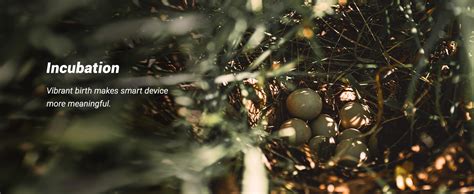 Inkbird Thermostat Plug Socket Digital Temperature Controller Timer Outlet Timer Switch Plug