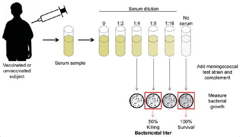 Serum Bactericidal Assay With Human Complement Figure Adapted From Download Scientific Diagram