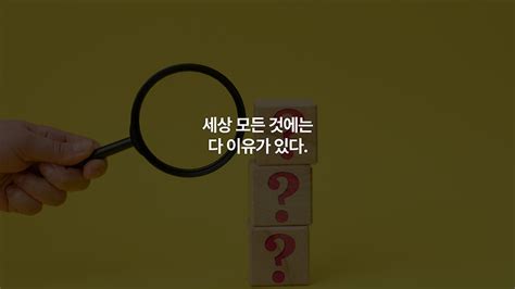 세상 모든것에는 다 이유가 있다
