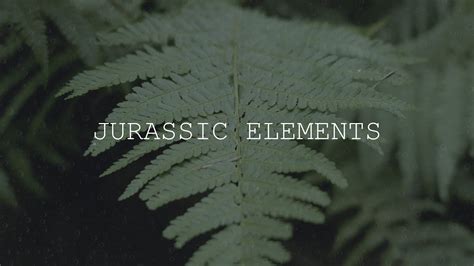 Jurassic Elements Panasonic Lumix S5 Short Cinematic Sample Film 4k