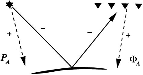 Preconditioning The Extrapolatedmodeled Wavefields Dashed Are Download Scientific Diagram