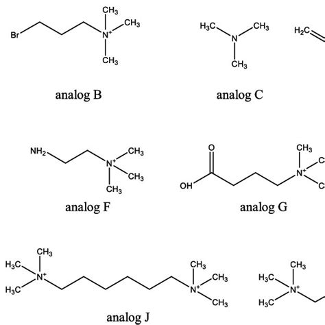 Chemical Structures Of Choline Analogs Tested As Potential Inhibitors Download Scientific