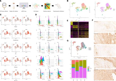 Frontiers Single Cell Rna Seq Analysis Reveals That Immune 40 Off