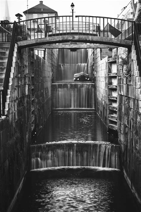 Dennis Stierer Buffalo Society Of Artists