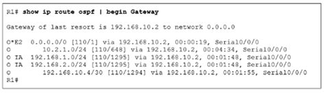 Modules 4 And 5 Ospf Flashcards Quizlet