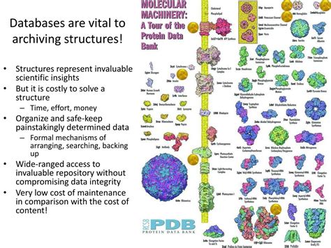 PPT Structure Databases The Protein Data Bank PowerPoint Presentation ID