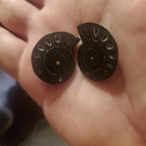 Printable Pendulum Mat Digital Download For Your Own Pendulum Mat