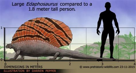 Edaphosaurus Alchetron The Free Social Encyclopedia
