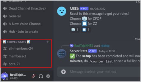 How To Check Your Discord Profile And Server Stats TechWiser